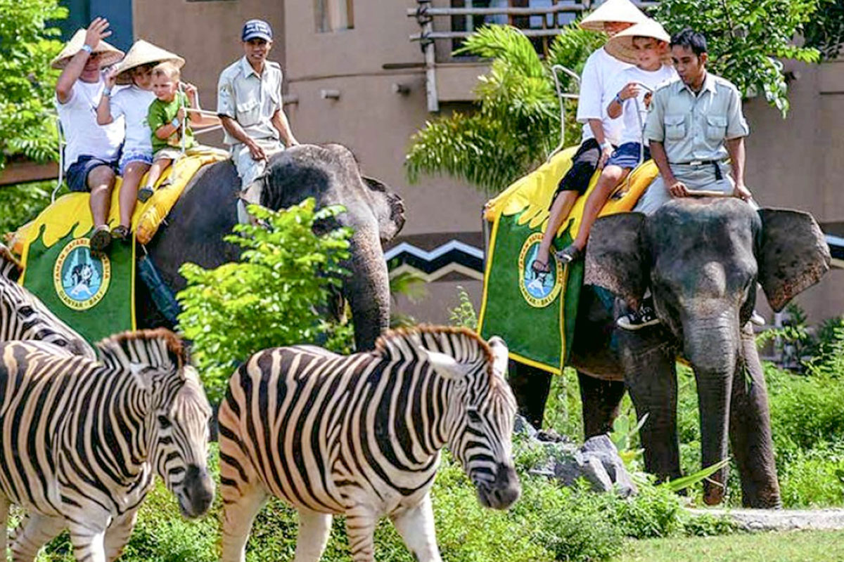 BALI SAFARI & MARINE PARK PACKAGE – Sapta Bali Tour